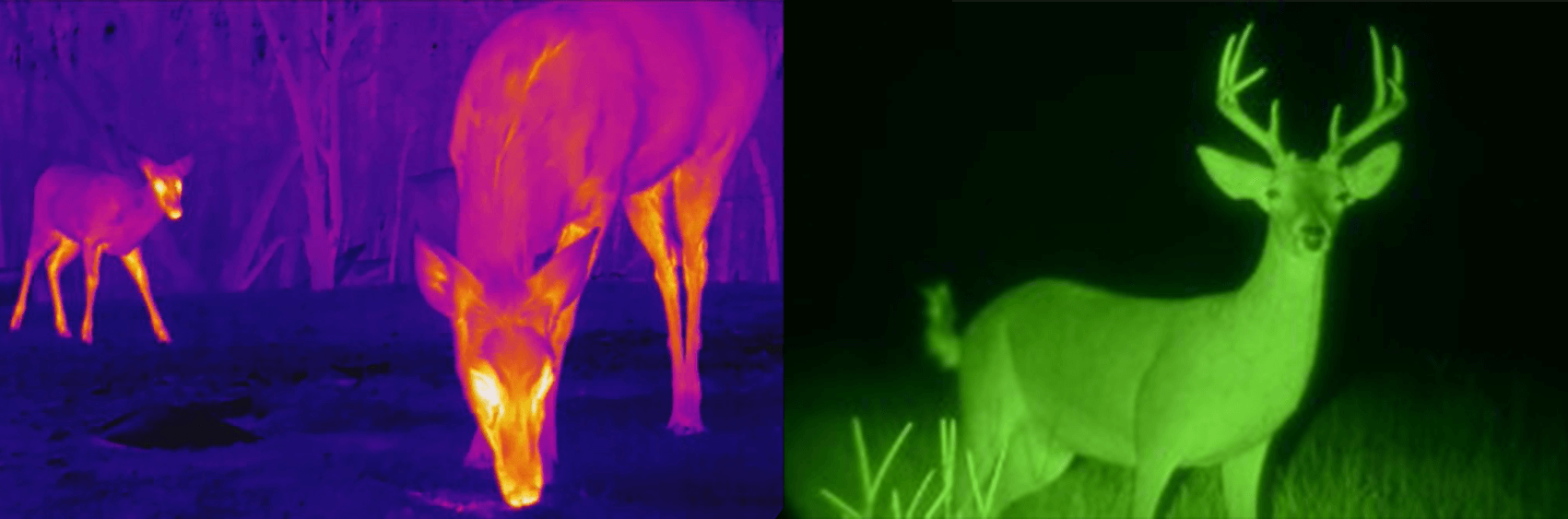 What’s the Difference between night vision and thermal vision?